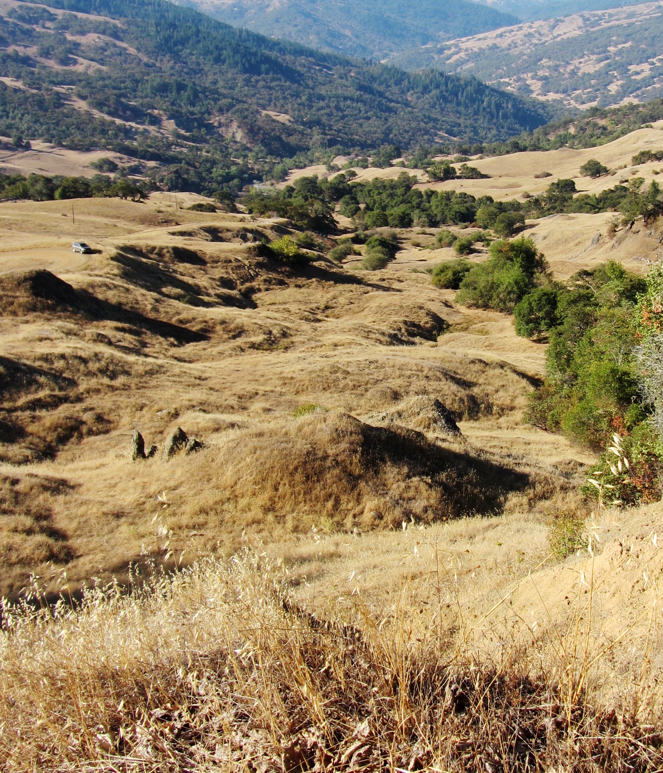 GSA News Release 16-22 - Contact